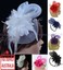 Spring Racing Race Party Melbourne Cup Feather Fascinator Headband ...