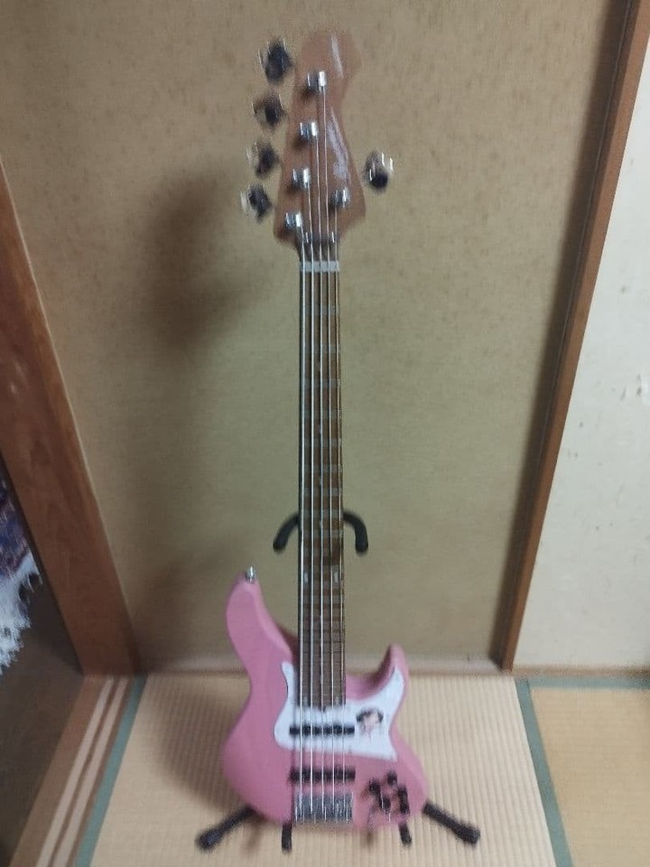 Bacchus WL524 H.J.FREAKS PINKS Jazz Bass Safe Packing! | eBay UK
