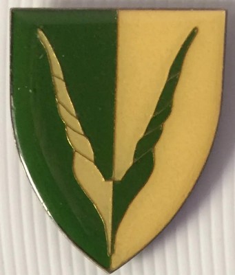 South Africa (SADF) Marico Commando Flash Arm Badge | eBay