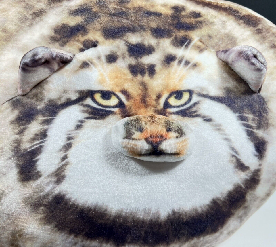 Tabby Cat Squishy Plush Stuffed Toy Animal Pillow 17” Realistic Print ...
