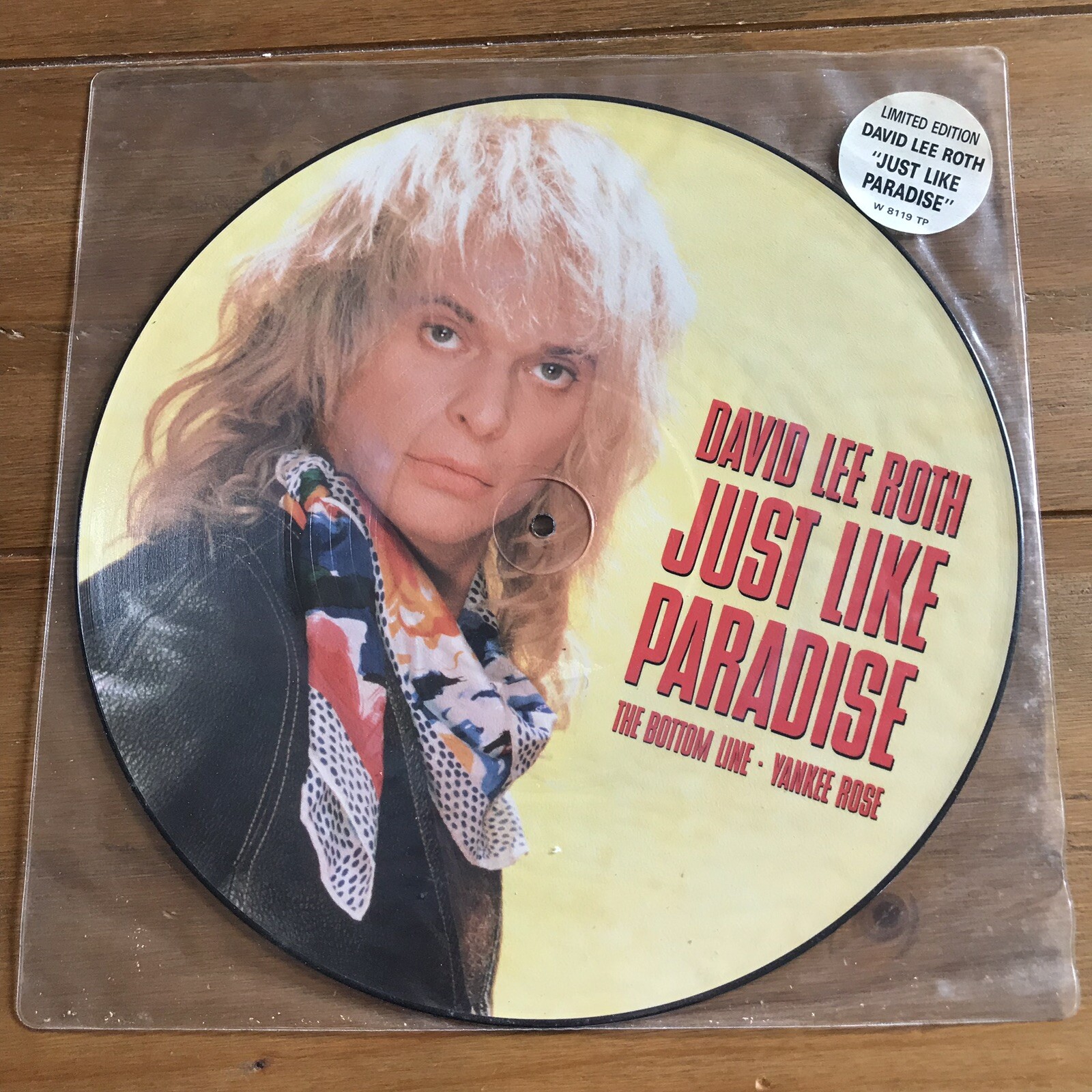 David Lee Roth - Just Like Paradise 12” Picture Disc Vinyl | eBay