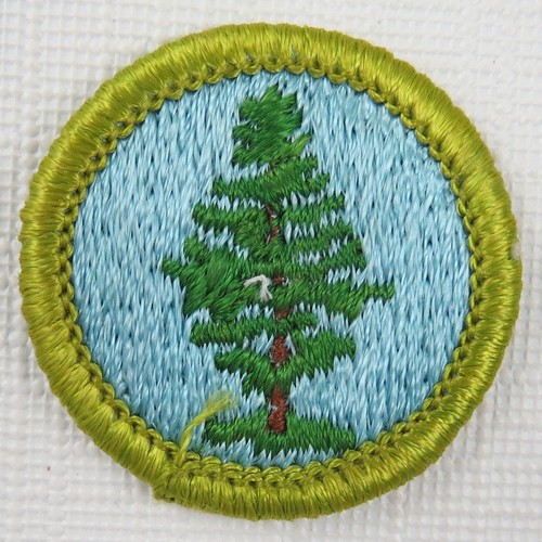 Forestry Current Plastic Back Merit Badge [MB-453] | eBay