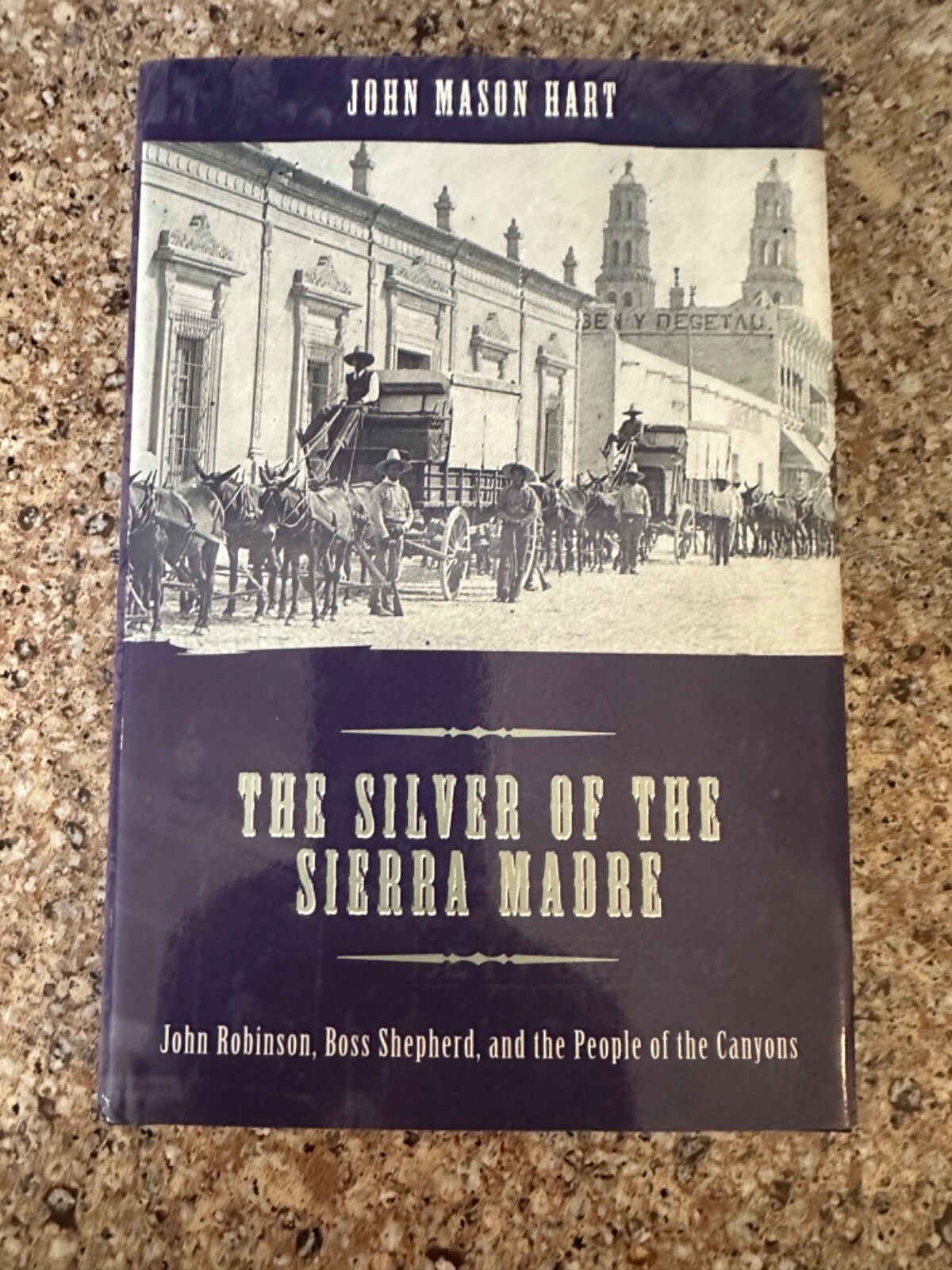 The Silver of the Sierra Madre (Arizona) by John Mason Hart (2008) | eBay
