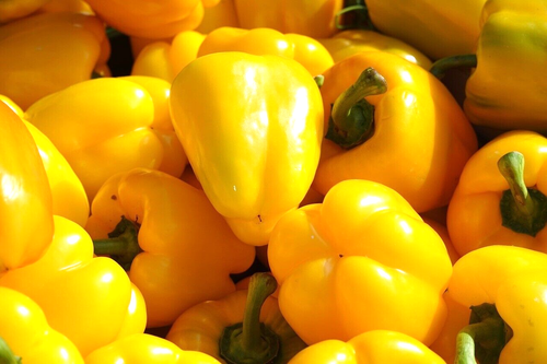 HEIRLOOM YELLOW CAPSICUM SEEDS,20 SEEDS-GROW OWN HEALTHY VEGETABLES ...