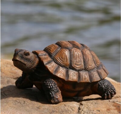 Cute Resin Tortoise Statue Garden Sculpture Tabletop Figurine Home ...
