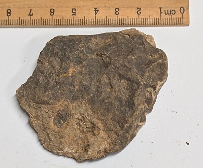 83 Gram Unclassified NWA METEORITE (#F6816) | eBay Australia