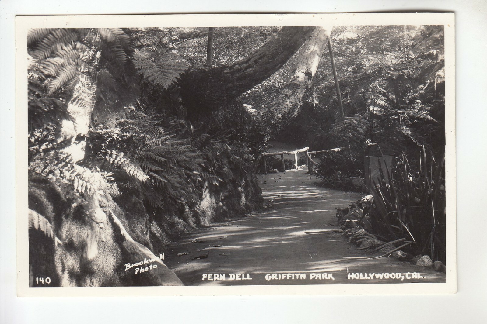 Brookwell Real Photo Postcard Fern Dell Griffith Park Hollywood CA 140 ...