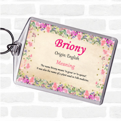 Briony Name Meaning Bag Tag Keychain Keyring Floral | eBay UK
