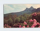 Postcard Grandfather Mountain Linville North Carolina USA | eBay