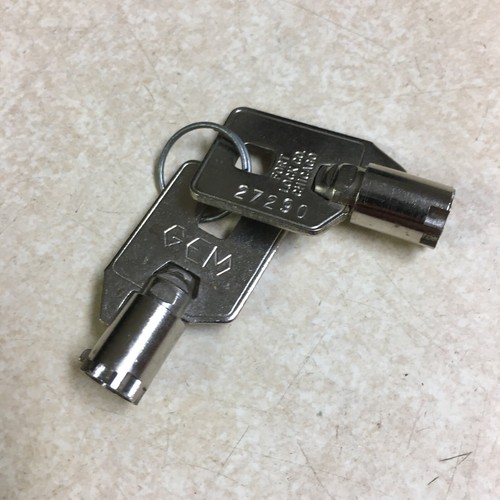2- OEM Fort Lock GEM Tubular Barrel Replacement Keys 27290 | eBay