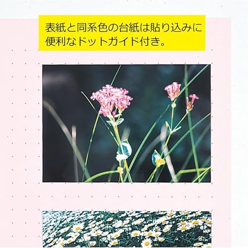 King Jim Clear File Color Base 20 Pockets A4 Vertical Blue 132C-Bfrom ...
