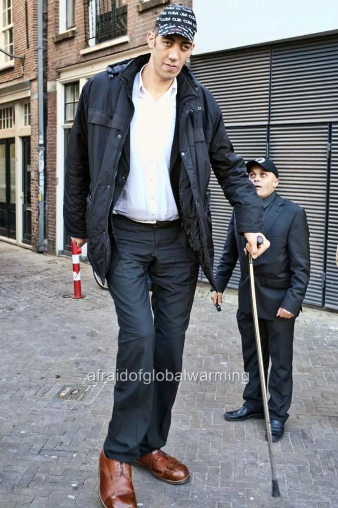 The Tallest Man On Earth