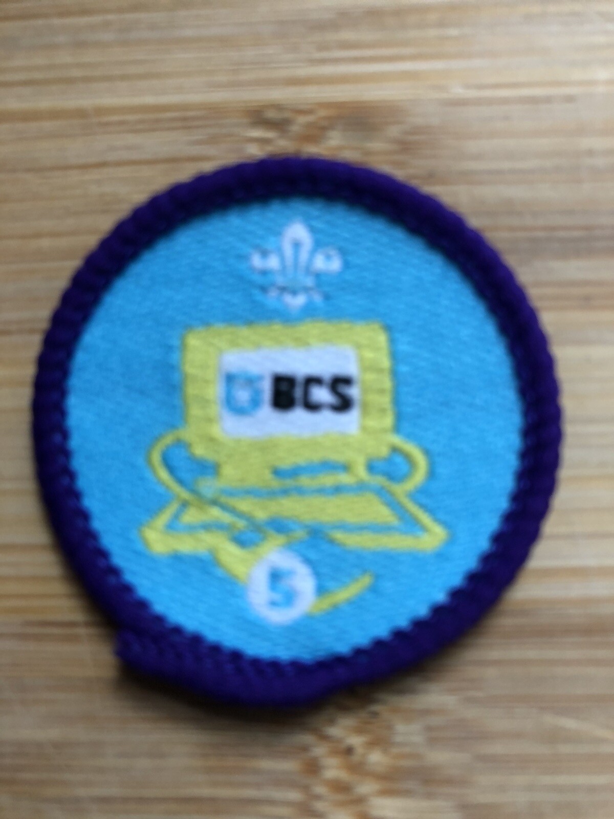 UK Scouting Scout Activity Badge Information Technology Level 5 BCS OLD ...