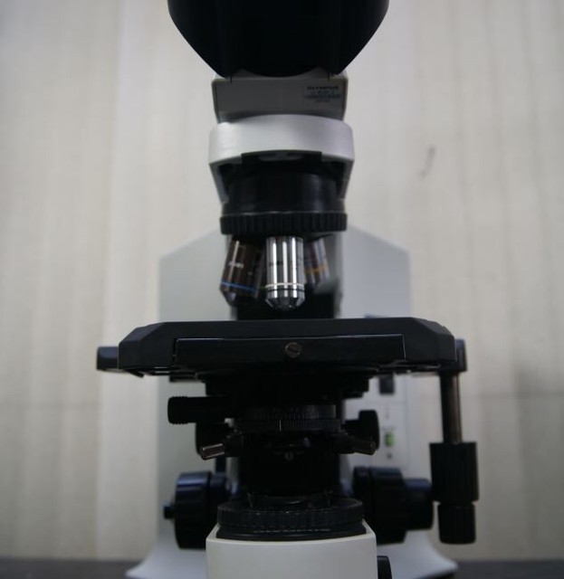 Olympus BX41TF Flourescent Microscope for sale online | eBay