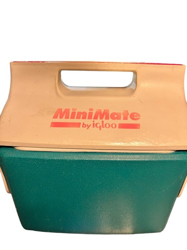 Vintage 1991 IGLOO Mini Mate Cooler Lunch Box Neon Teal/Pink TEXAS USA ...