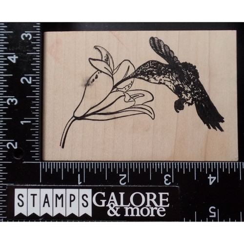 DEMO STAMP-A-LOT Rubber Stamps HUMMINGBIRD GARDEN LILY FLOWER #2468 | eBay