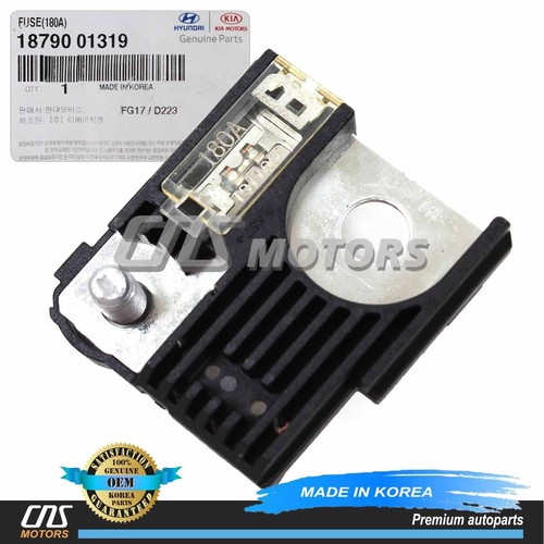 ⭐GENUINE⭐ AMP Fuse for 13-19 Santa Fe Tucson Cadenza Optima Sorento ...