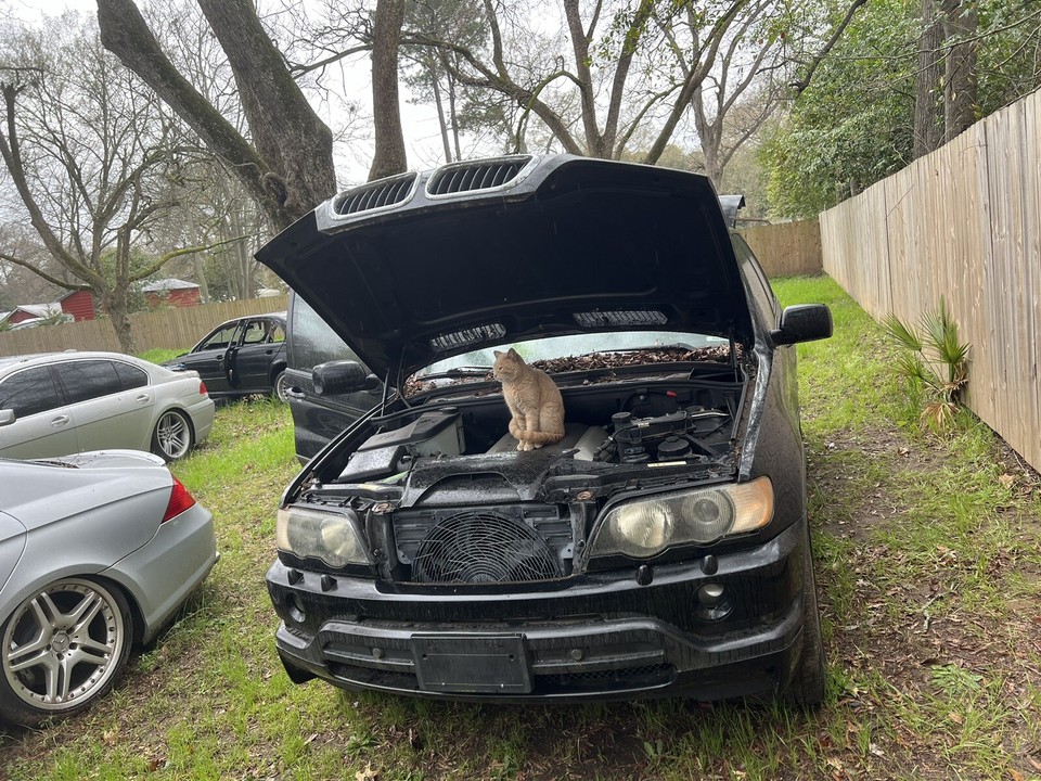 (pickup ONLY) 2002 2003 BMW M62B46 E53 X5 4.6is 4.6 Engine Motor 178K ...