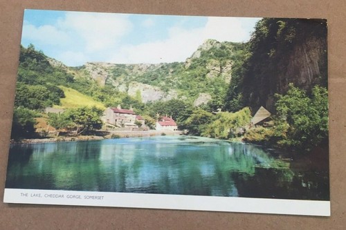 UNUSED POSTCARD - THE LAKE, CHEDDAR GORGE, SOMERSET, ENGLAND | eBay