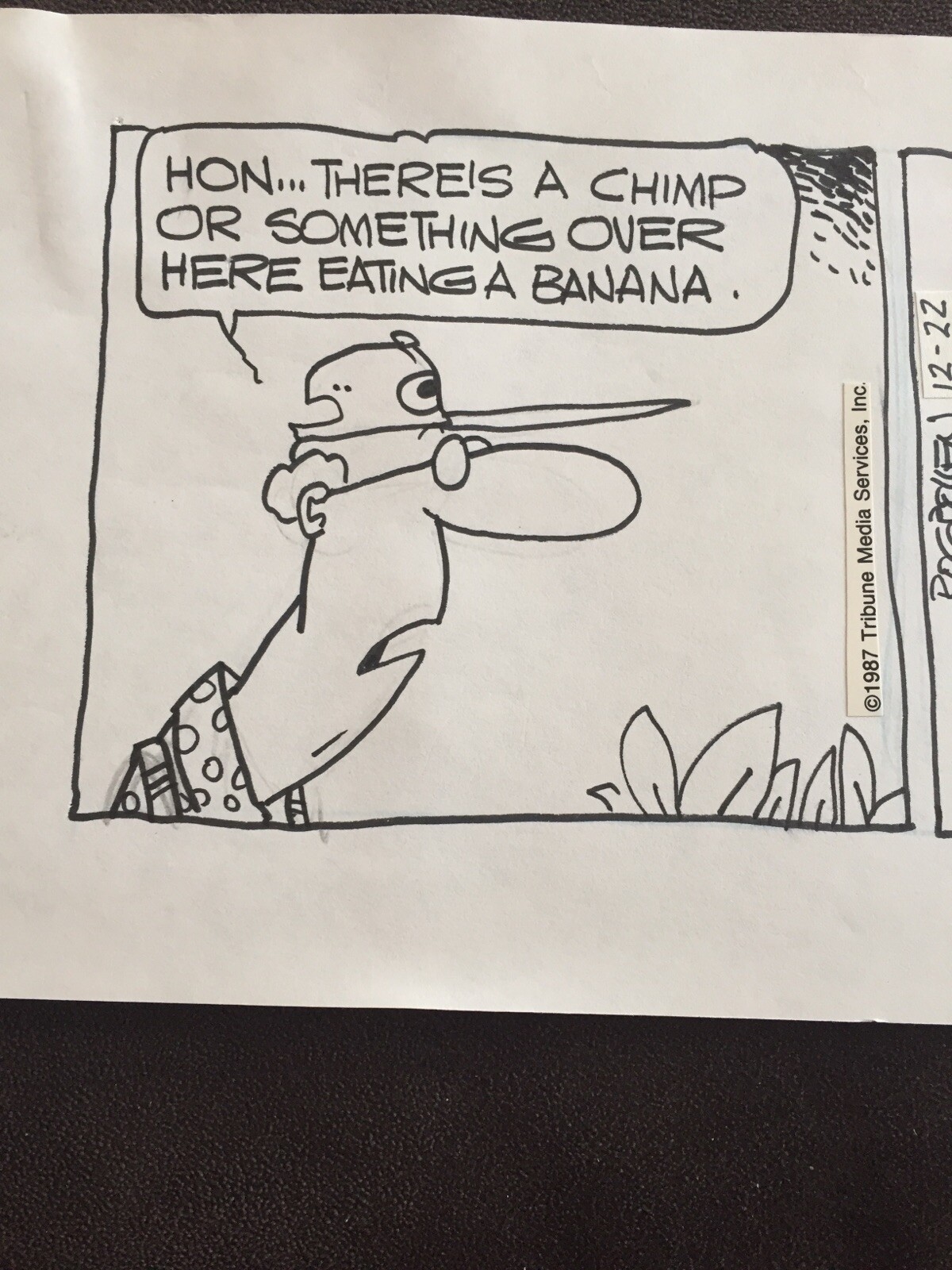 Animal Crackers Comic Strip By Rog Bollen Daily Original Strip ...
