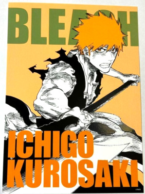 Bleach Art Card Collection Ichigo Kurosaki Tite Kubo 148x210mm JP | eBay