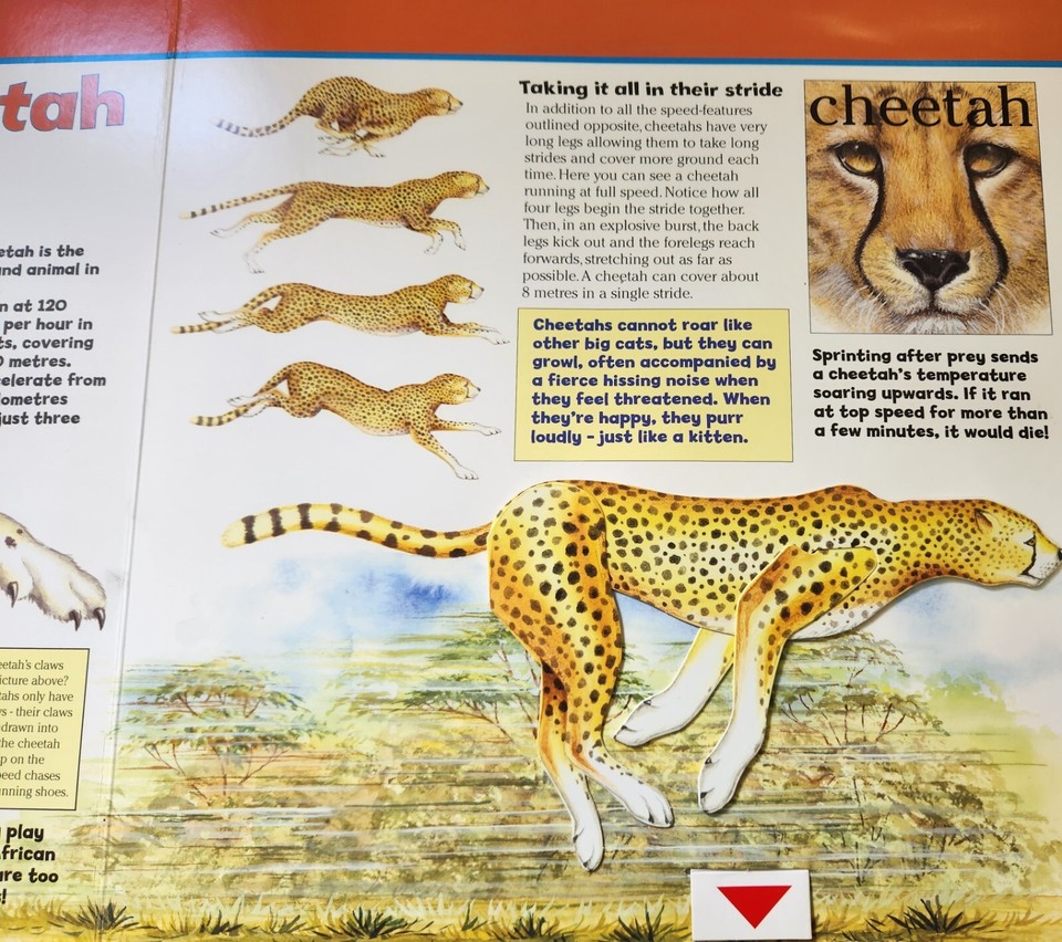 How It Works: Living Things Moving Parts Book Wildlife Animals Human ...