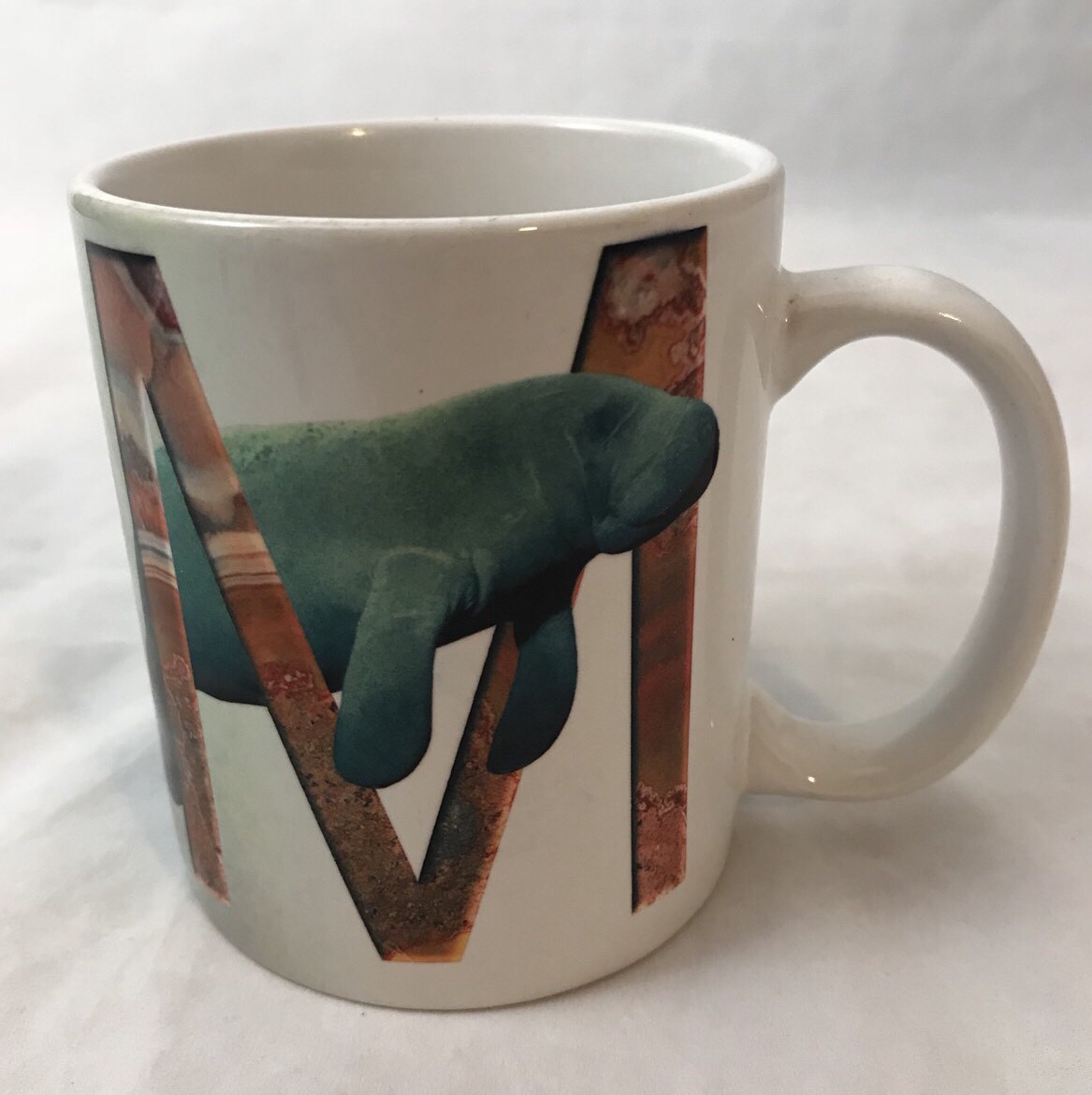 Manatee Ceramic Coffee Cup Mug Homosassa Springs State Wildlife Park ...