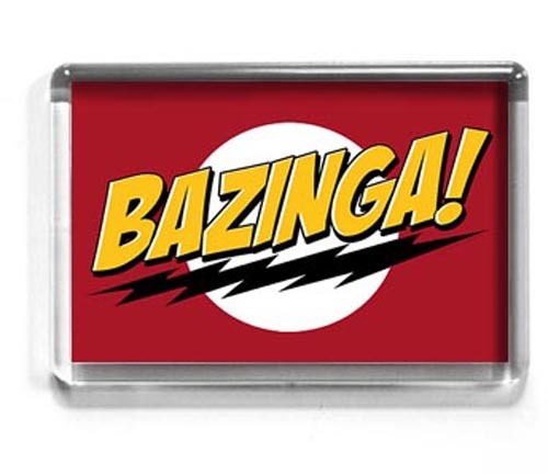 The Big Bang FRIDGE MAGNET. Leonard and Sheldon's apartment flag ...