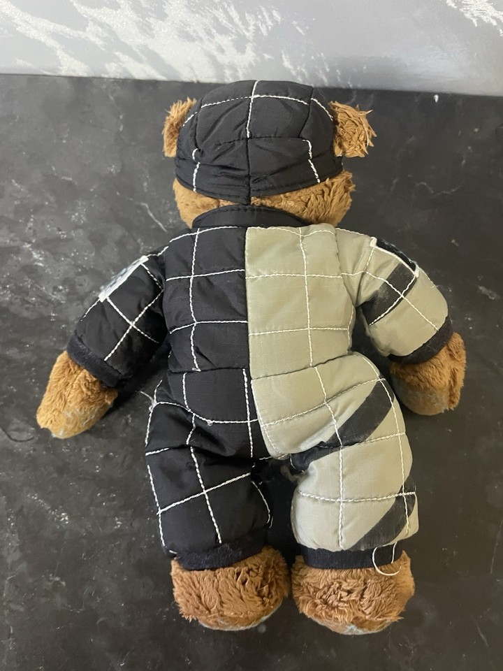 Official F1 Formula 1 Racing Mascot Teddy Bear 9" Plush Soft Toy Good ...