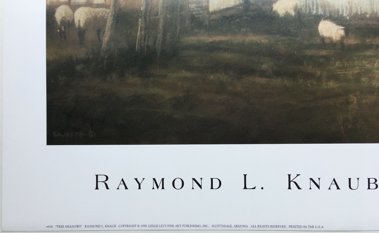 Raymond L. Knaub "Tree Shadows" Poster | eBay