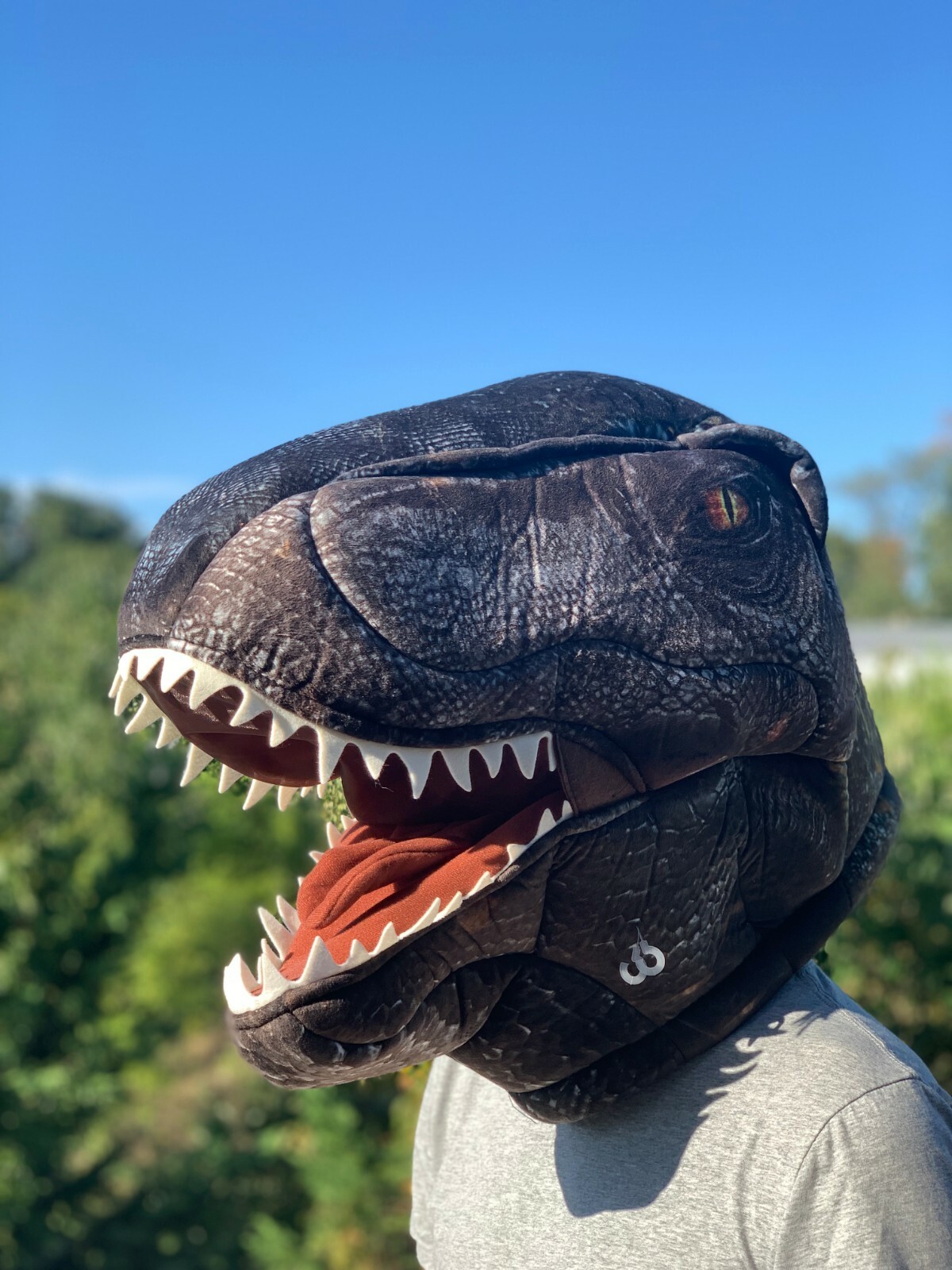 Jurassic World Dinosaur Head Mask Plush Soft Costume … - Gem