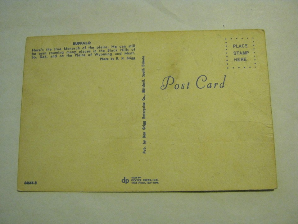 Buffalo Post Card, unknown era (024-20) | eBay