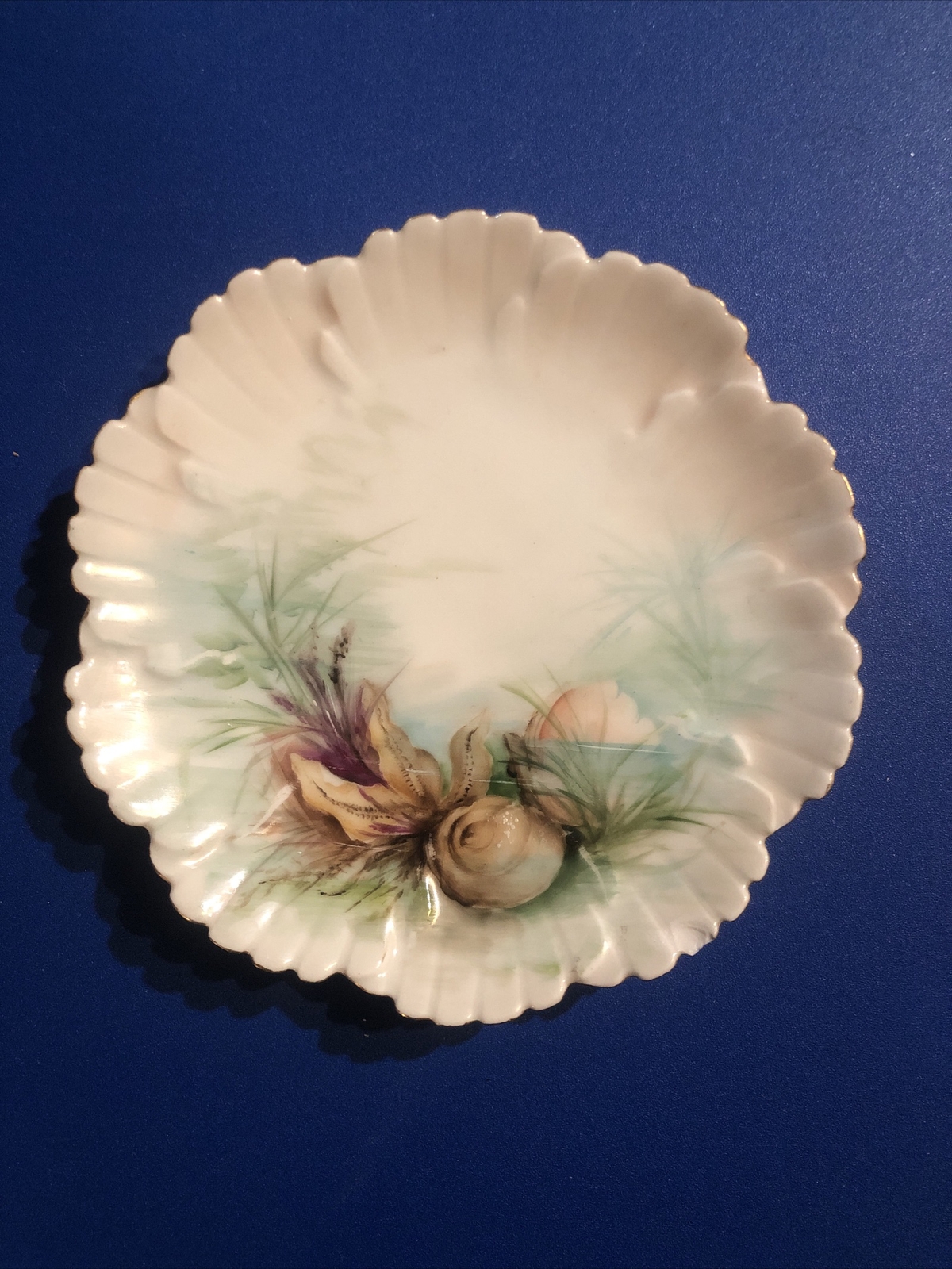 LIMOGES PORCELAIN Plate With Shell Underwater Design Handpainted | eBay
