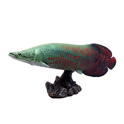 Favorite Pirarucu Arapaima gigas Fossil Ancient Fish Soft Model Toy ...