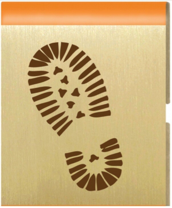 NEW Various Cub Scout, Tiger, Wolf, and Bear Belt Loops BSA Boy Scouts ...