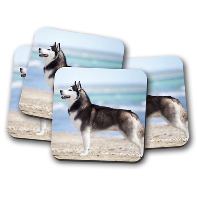 4 Set - Beautiful Husky Dog Coaster - Puppy Malamute Beach Cool Fun ...