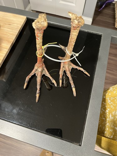 Pair of Real Preserved Turkey Feet - dried for bird taxidermy mount or ...