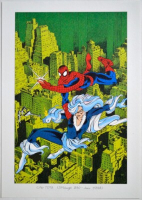 BLACK CAT & SPIDER-MAN Art PRINT Ciho Tota 1992 Marvel / Editions Semic ...