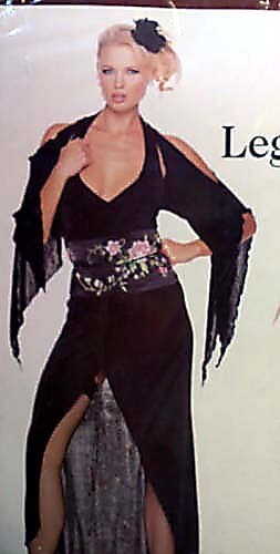 sexy LEG AVENUE slinky MISTRESS vampire DRACULA witch GYPSY geisha ...