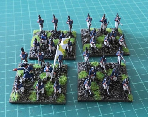Napoleonic Wars 1:72 1809 Baden Army Infantry Regiment No4/2 x 32 (123E ...