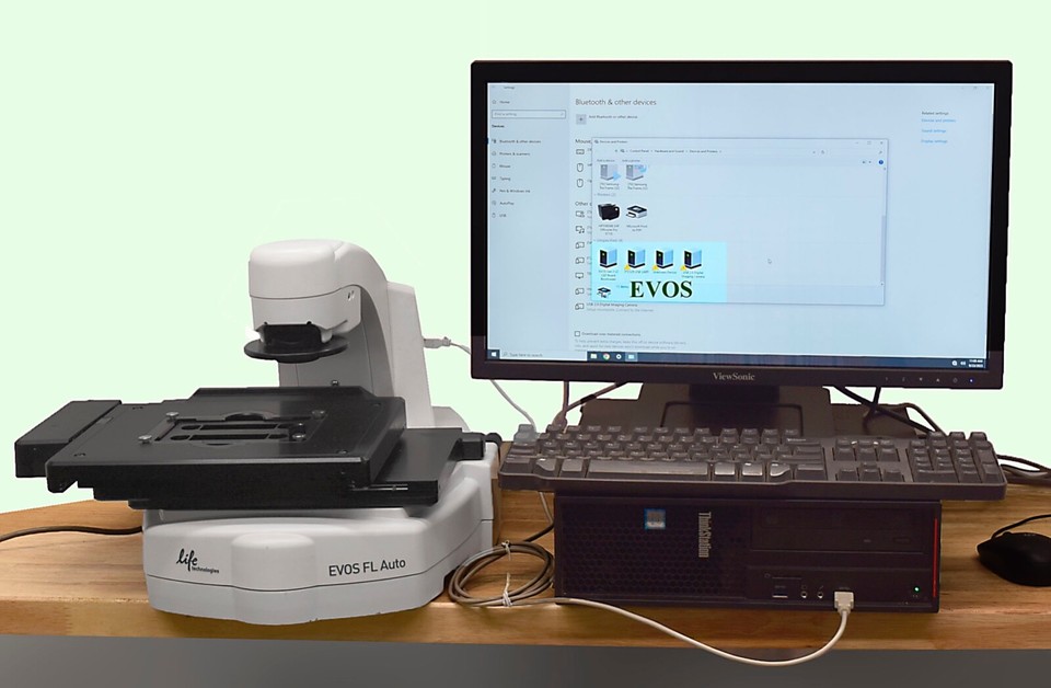 Life Technologies EVOS FL Auto Fluorescence Imaging Digital Microscope ...