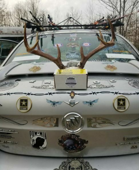 ANTLER Repair Epoxy Kit Deer Elk Horns Skulls FIX BROKEN ANTLERS OR ...