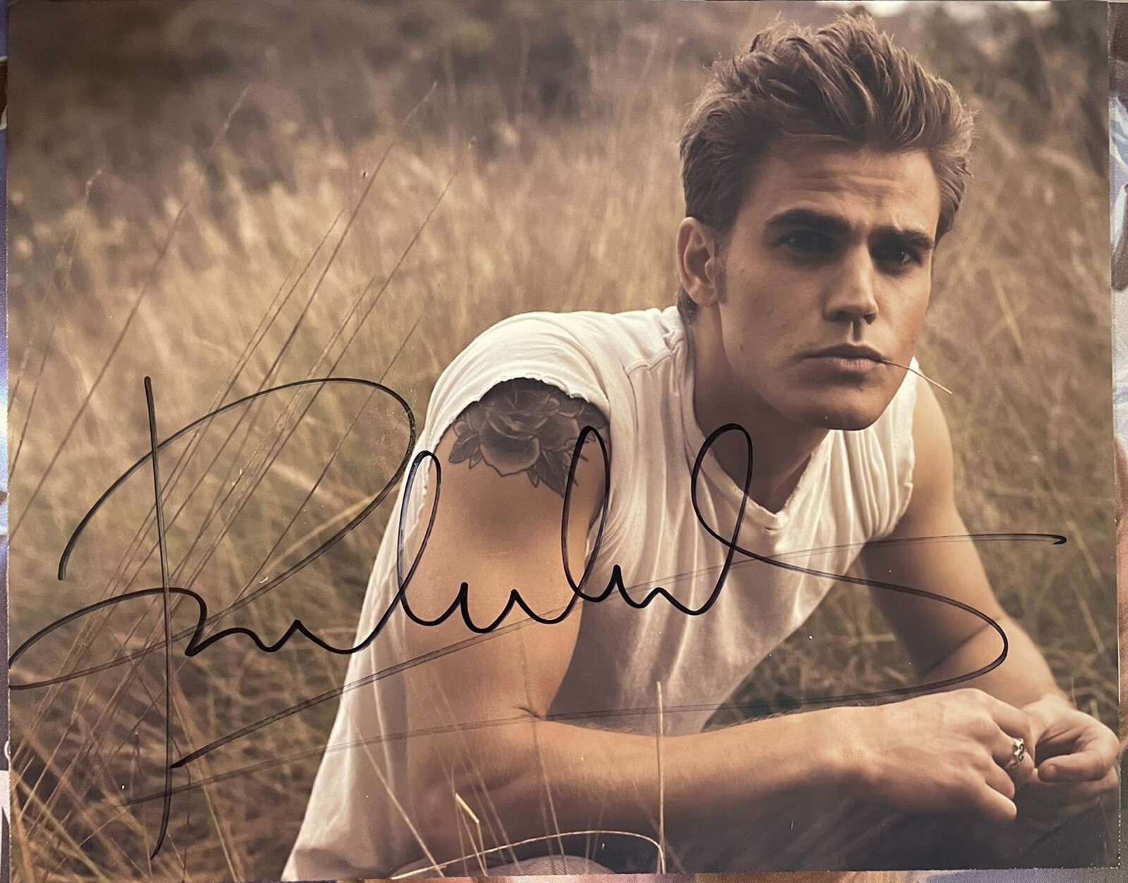 Paul Wesley Authentic Autograph The Vampire Diaries Had Signed In ...