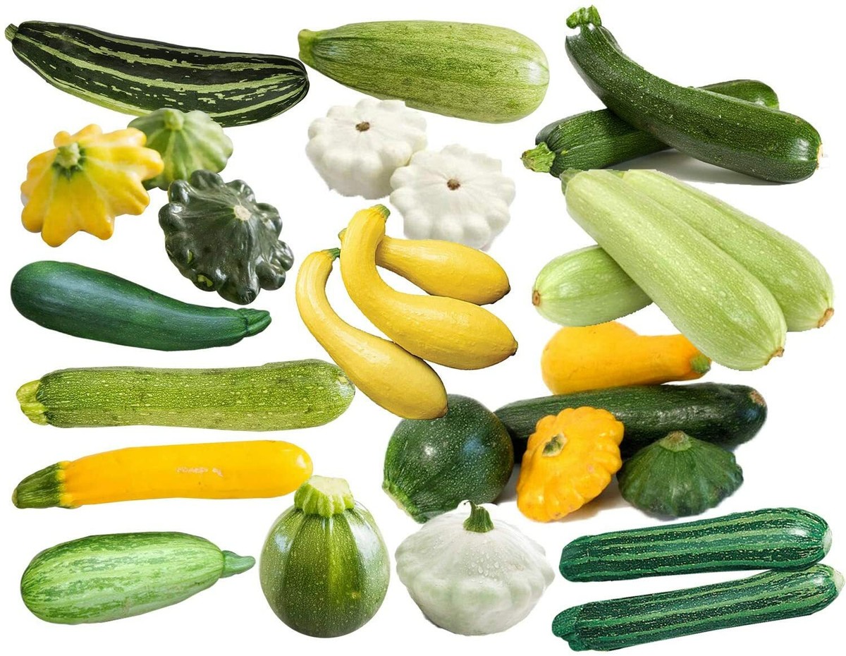 Italian Squash Varieties Grilling Italian Ribbed Zucchini: A Flavorful