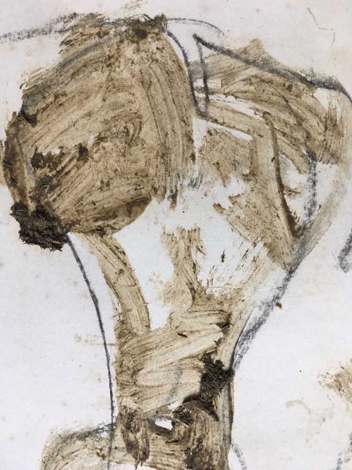 Very Nice Drawing Painting Paper Watercolour Dung Taureau Cow 1995 ...