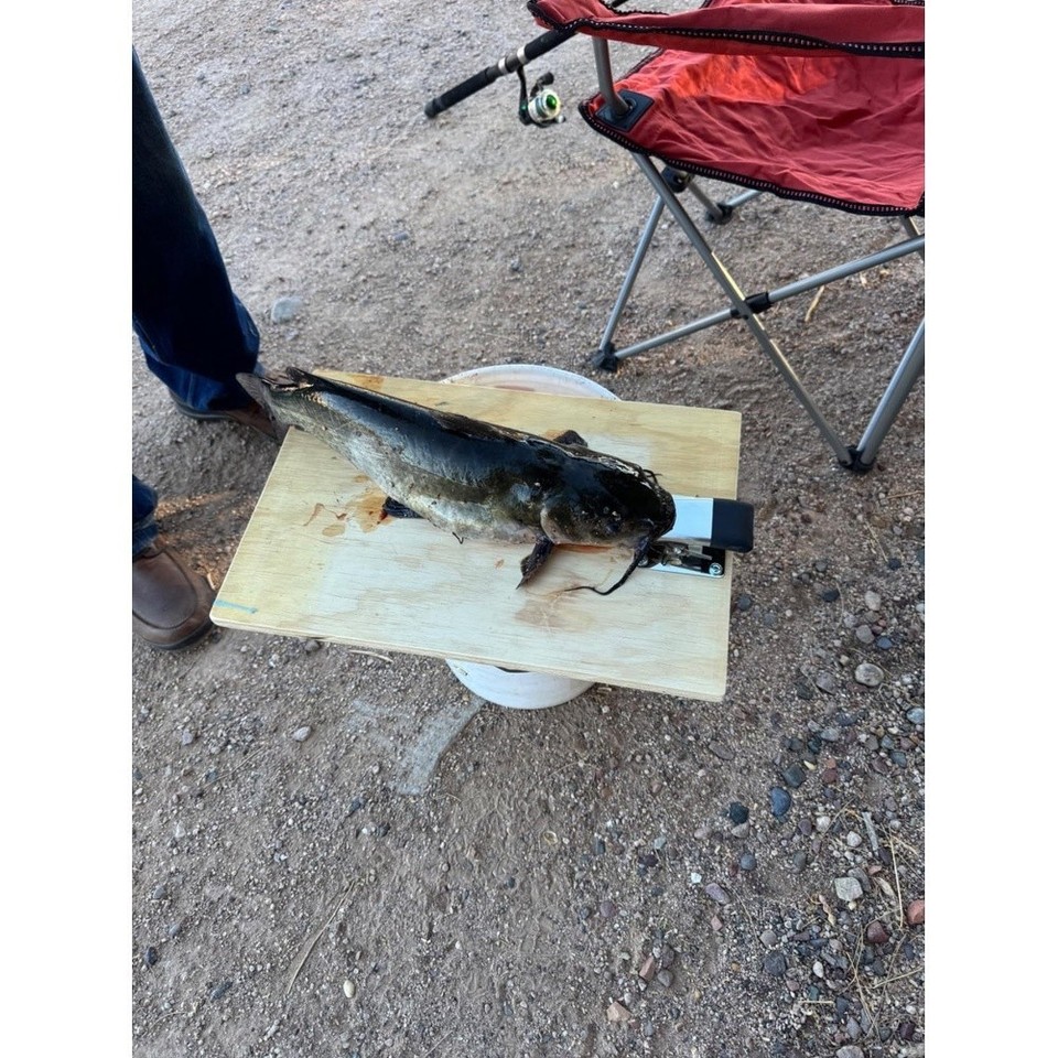 Stainless Steel Fish Gripper with Portable Design and Secure Non Slip ...