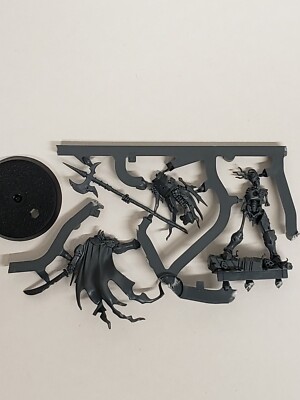 Watch Captain Halgrim, SoulblightGravelords, Cursed City, AOS, GW | eBay