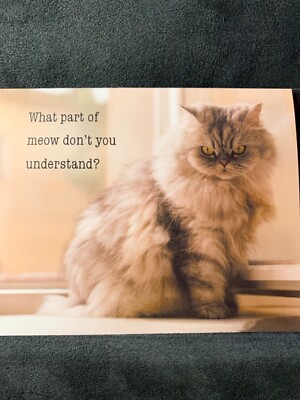 Thinking of You Greeting Card Cat Kitty Lover Hello Lovely Grumpy Cat ...