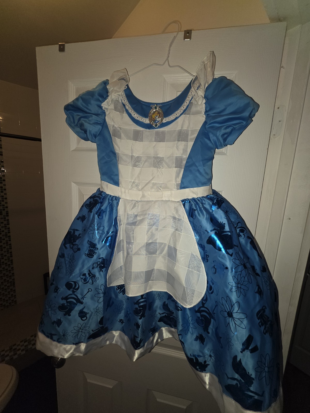 Disney Store Alice Classic Costume Kids - Alice in Wo… - Gem