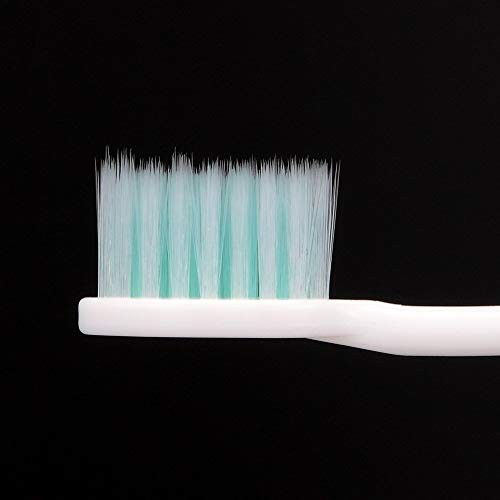 Lion Systema toothbrush normal type replacement brush Green Set of 2 ...